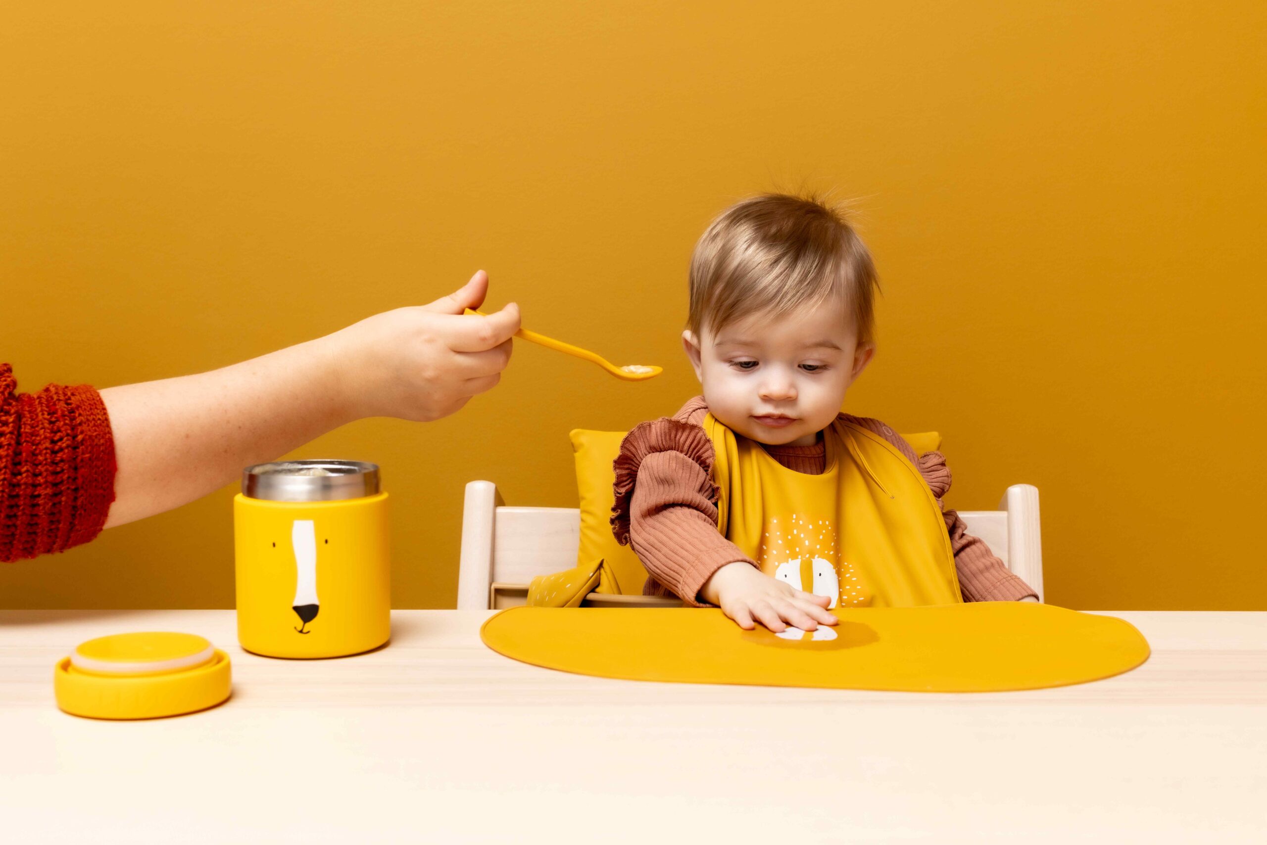 Waterproof Bib 2-Pack - Mr. Lion - Bubbleeboo